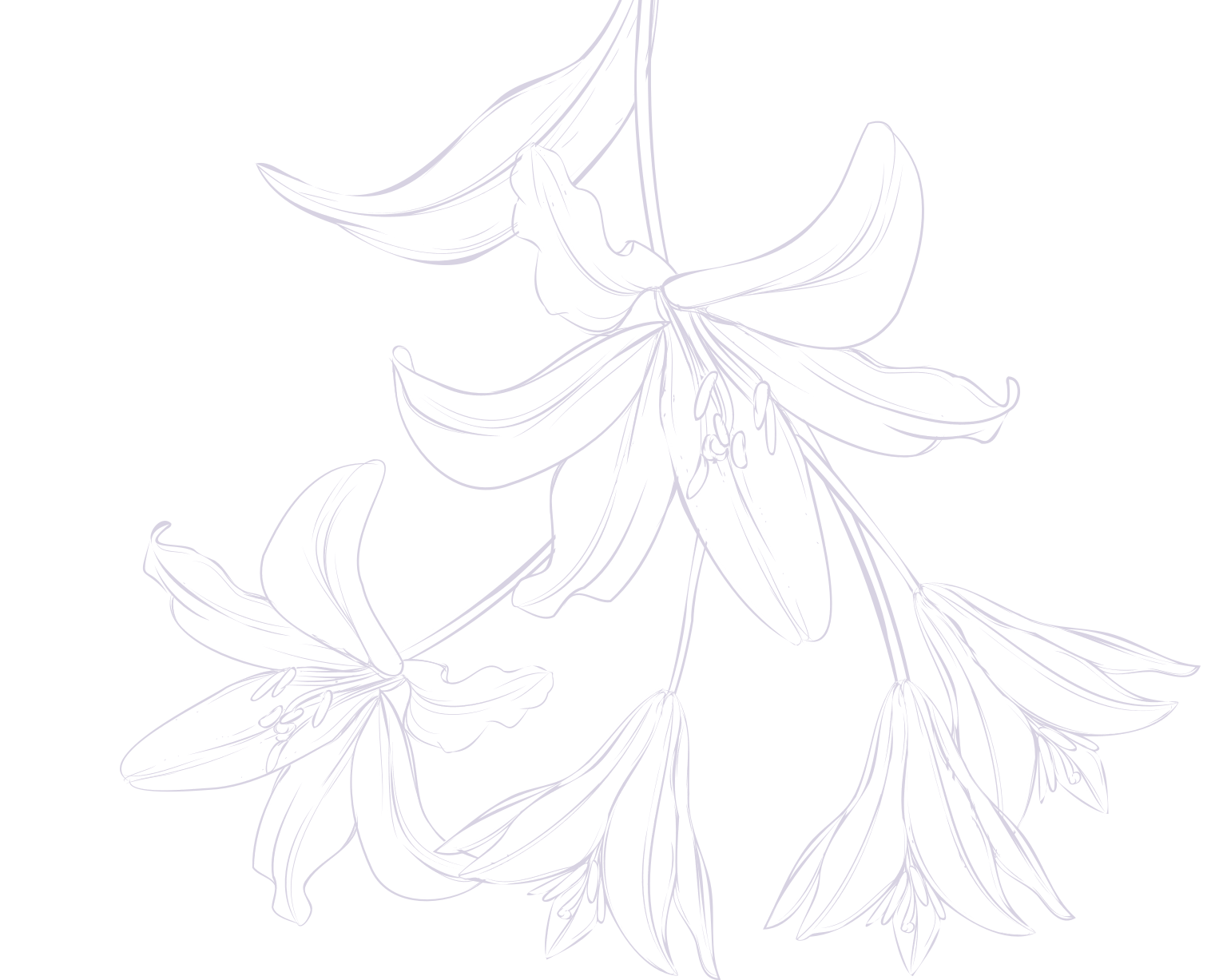 Magical Revolution of the Reincarnated Princess and the Genius Young ...